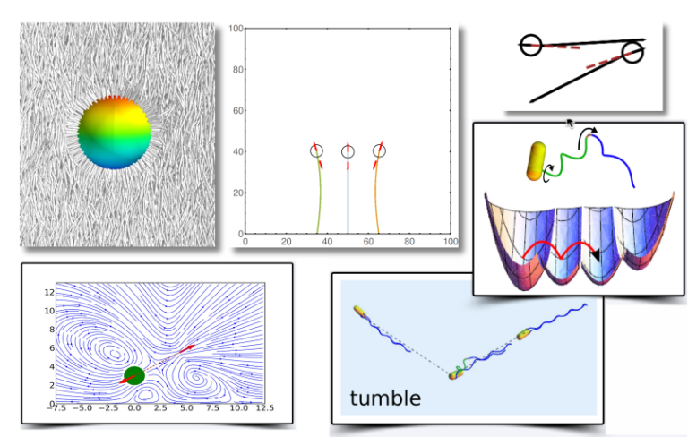 Physics Research Groups – IISER Tirupati